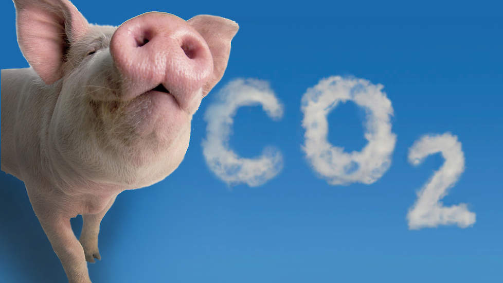 Stelling: Varkenshouderij kan gemakkelijk aan de klimaatdoelstellingen ...