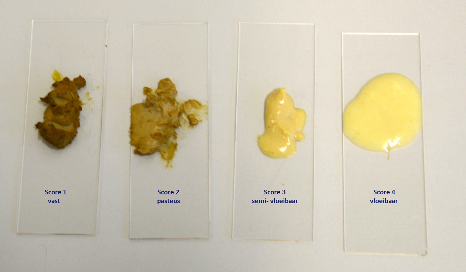 Ceva › Is coccidiose altijd onder controle? | Pigbusiness.nl - Nieuws ...