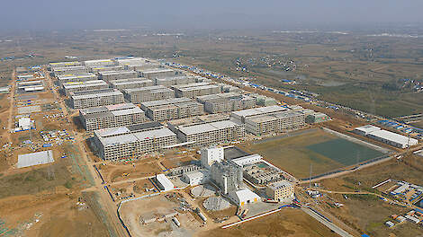 Chinezen bouwen 's werelds grootste varkensbedrijf | Pigbusiness.nl ...