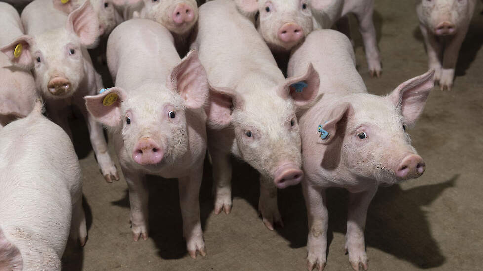 aaff › Onderzoek naar energieverbruik en -vermindering in de ...