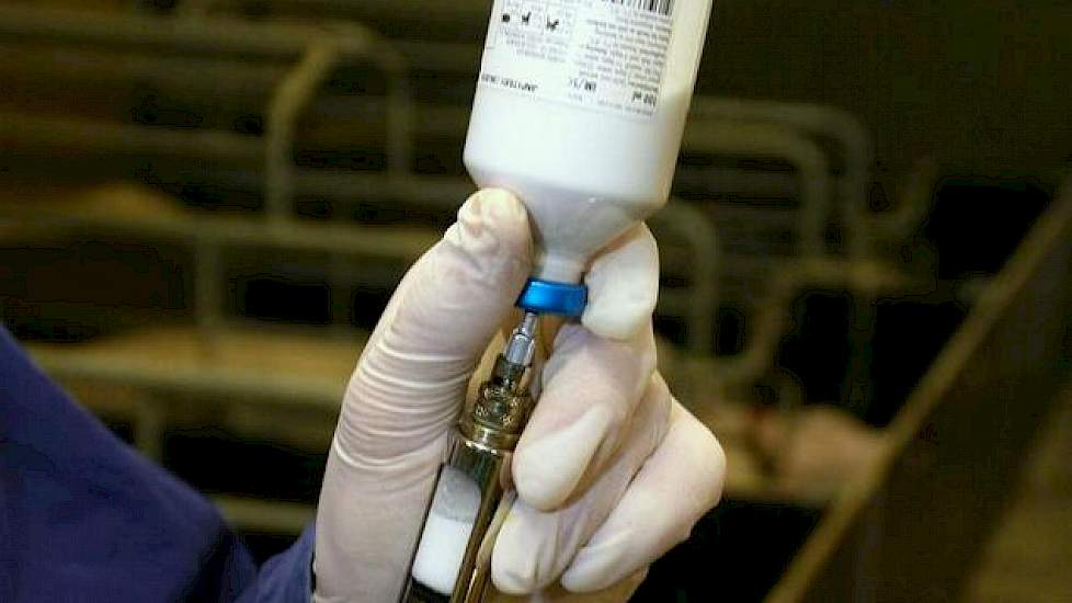 NVWA start controle veelgebruikers | Pigbusiness.nl - Nieuws voor ...