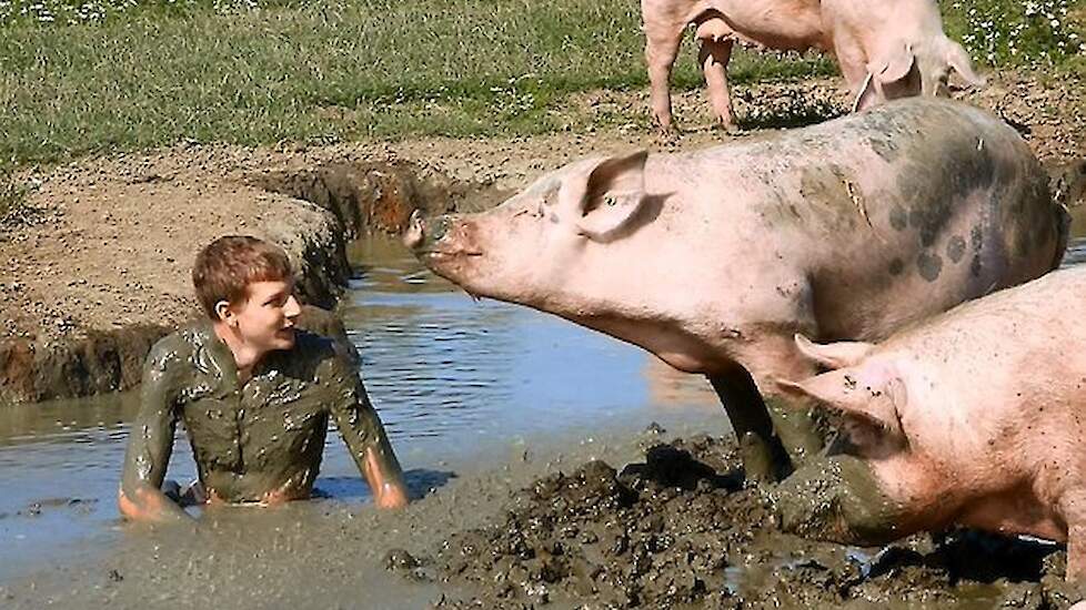 Video: Een modderbad met varkens | Pigbusiness.nl - Nieuws voor ...